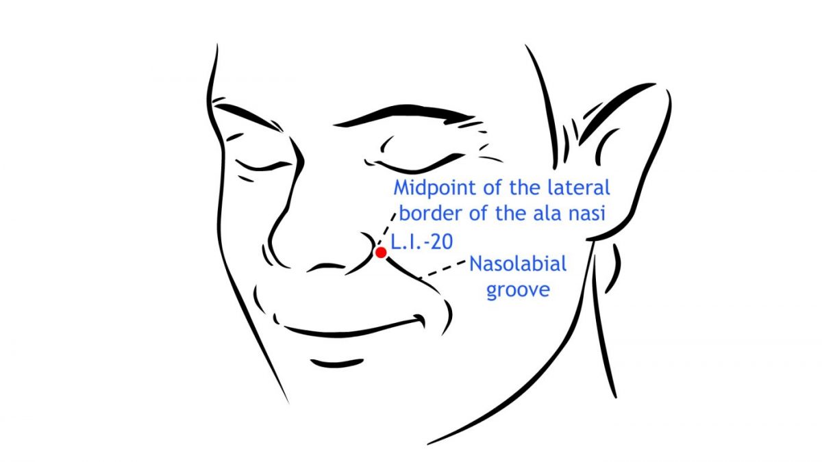 Amethyst Healing Properties Chinese Medicine – Radiant Shenti