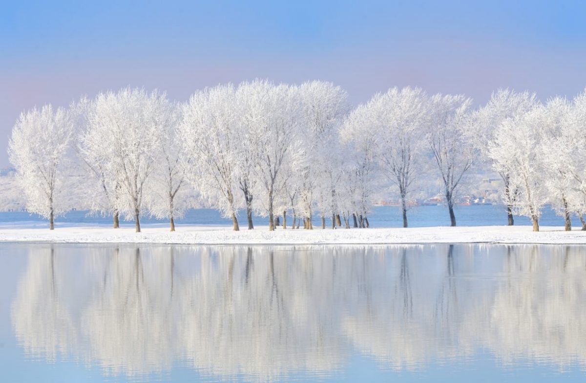 Winter Foods to Keep You Healthy – Radiant Shenti